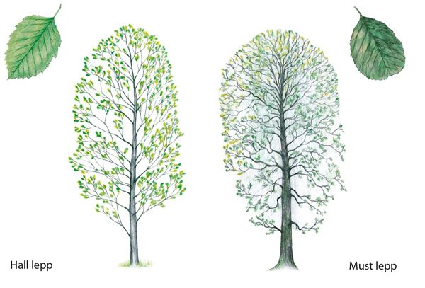 Taimede ja loomade liike on palju – Opiq